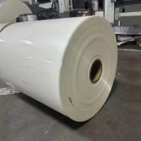 China PLA Coated Paper Roll 190g 210g Biodegradable Disposable Paper Cup Roll for sale