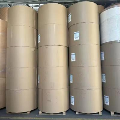 China Single or Double Side PLA Coated Paper Roll Compostable Biodegradable Material for sale