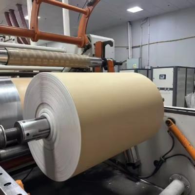China Custom Size PLA Coated Paper Roll Oil Resistant Single Double Side Coating for sale