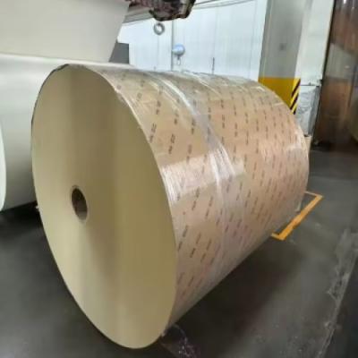 China Sustainable PLA Coated Paper Roll Designed to Enhance Product Presentation for sale