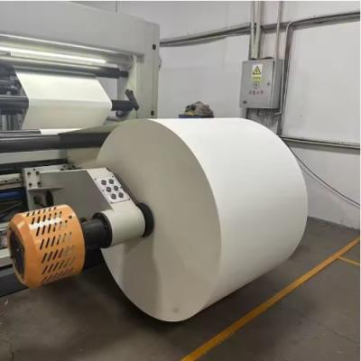 China Waterproof PLA Coated Paper Roll with High Oil Resistance for Paper Cup Bowl and Food Container Manufacturing for sale