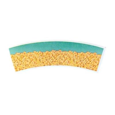 China Various Brand Paper Raw Material Accept Paper Cup Fan Blanks Made With PE Coated for sale