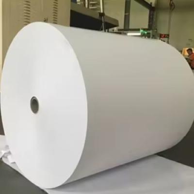 China Single or Double Side Wall PE Coated Paper Roll Oilproof and Environmental for sale
