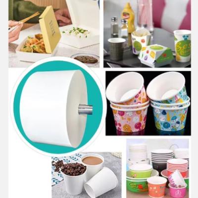 China Factory Wholesale Single or Double Side Coated PE Coated Paper Roll for sale