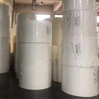 China Single or Double Wall PE Coated Paper Roll for Manufacturing Disposable Tea Cups and Coffee Cups for sale