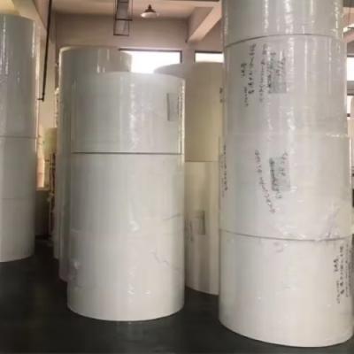 China Single or Double Wall PE Coated Paper Roll for Manufacturing Disposable Tea Cups and Coffee Cups for sale