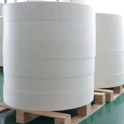 China Eco Friendly Paper Cup Bottom Roll Factory Direct Sale Waterproof for sale