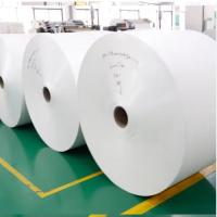 China Waterproof Offset Printing PE Coated Paper Roll Heat Insulation for sale