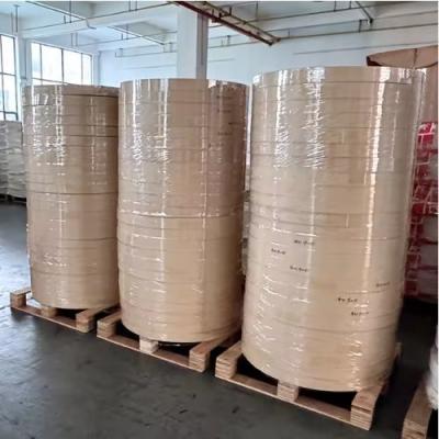 China PE Coated Paper Roll Featuring High Bulk Normal Bulk Flexography Printing for sale