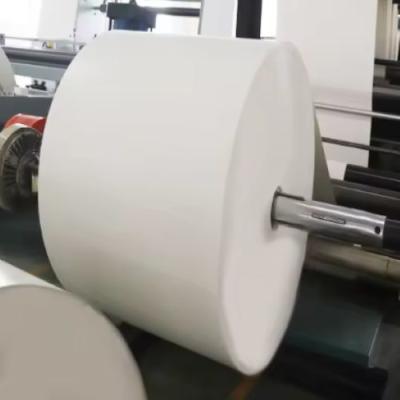 China PE Coated Paper Roll Designed for Food Grade Disposable Paper Cups Waterproof Greaseproof for sale