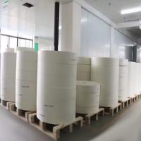 China High Temperature Resistant Paper Cup Bottom Roll with PE Coated for sale