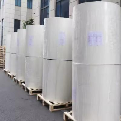China Waterproof Factory Wholesale PLA Coated Paper Roll Made from Virgin Wood Pulp for sale