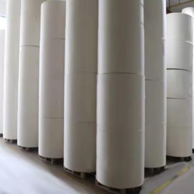 China High Bulk Normal Bulk PLA Coated Paper Roll with PE Coating Custom Designed for sale