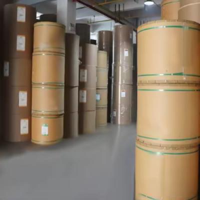 China Biodegradable PLA Coated Paper Roll for Food Packaging and Disposable Cups for sale
