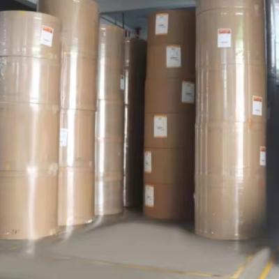 China PLA Coated Paper Roll 100% Virgin Wood Pulp Flexography Printing for sale