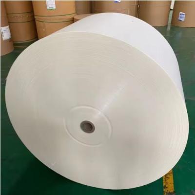 China 1-7 Colors Accept Custom Designed PLA Coated Paper Roll Waterproof for sale