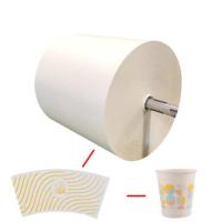 China Oilproof White OEM ODM PLA Coated Paper Roll with High Bulk Normal Bulk for sale