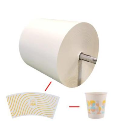 China Oilproof White OEM ODM PLA Coated Paper Roll with High Bulk Normal Bulk for sale