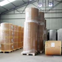 China PLA Coated Paper Roll Raw Material Suitable for Food Service Packaging for sale