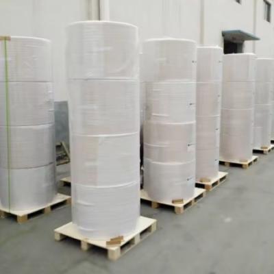 China High Bulk Oil Resistant PLA Coated Paper Roll for Eco Friendly Disposable Coffee Cup for sale