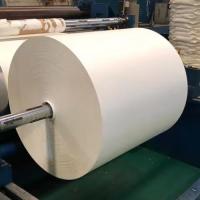 China Biodegradable PLA Coated Paper Roll High Quality for Making Paper Cups for sale