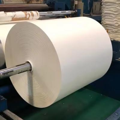 China Biodegradable PLA Coated Paper Roll High Quality for Making Paper Cups for sale