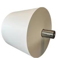 China FSC Certification Compostable PLA Coated Paper Roll with Single or Double Side Wall for sale