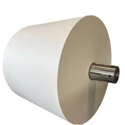 China FSC Certification Compostable PLA Coated Paper Roll with Single or Double Side Wall for sale