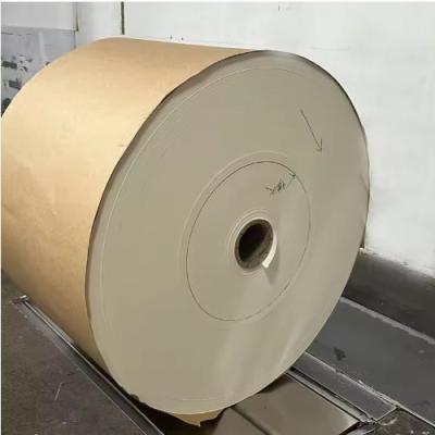 China PLA Coated Paper Roll 150 to 350GSM Biodegradable Paper Raw Material for sale