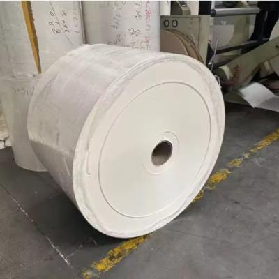 China Compostable Food Grrade PLA Coated Paper Roll for Coffee Tea Beverage Paper Cups for sale