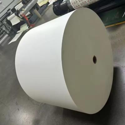China Waterproof PLA Coated Paper Roll Renewable Compostable Food Packaging Solution for sale