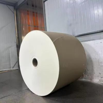 China PLA Coated Paper Roll High Bulk Compostable Biodegradable Raw Material for sale