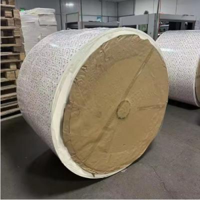 China 135gsm to 350gsm PLA Coated Paper Roll 100% Virgin Wood Pulp for sale