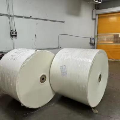 China Food Packaging FSC Certification PLA Coated Paper Roll Biodegradable for sale