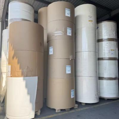 China Fashion Design PE Coated Paper Roll for Beverage Tea Coffee Drinking Cups for sale