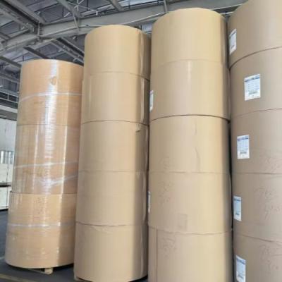 China FSC Certification Factory Hot Sale PE Coated Paper Roll Greasepeoof for sale
