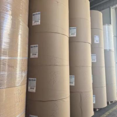 China FSC Eco-friendly PE Coated Paper Roll with Excellent Oil Resistance for sale