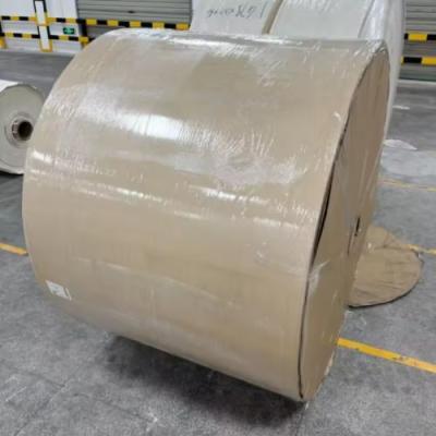 China Factory Supplier Colorful Printed PE Coated Paper Roll 150-350 GSM for sale