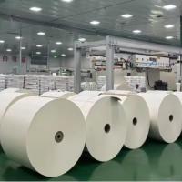 China Food Grade Factory Direct Sale PE Coated Paper Roll Different Size for sale