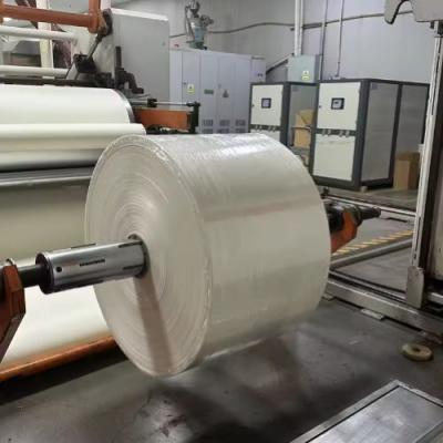 China Flexo Printing 6oz 7oz 8zo 9oz PE Coated Paper Roll 100% Virgin Wood Pulp for sale