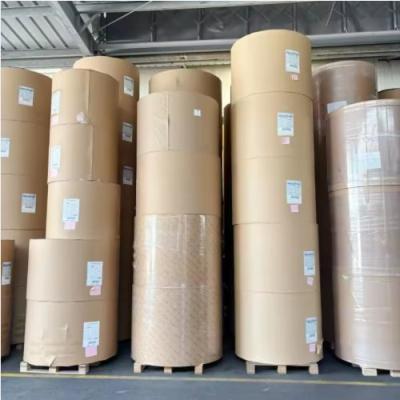 China China Manufacturer OEM ODM Raw Material PE Coated Paper Roll for sale