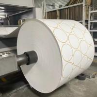 China Standard High Quality Whloesale PE Coated Paper Roll for make Disposable Cups for sale