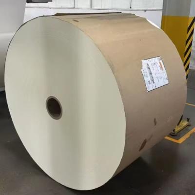 China Reasonable Price High Quality PE Coated Paper Roll Colorful Printed for sale