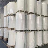 China 150GSM-350GSM High Bulk Normal Bulk Paper Cup Bottom Roll Waterproof for sale