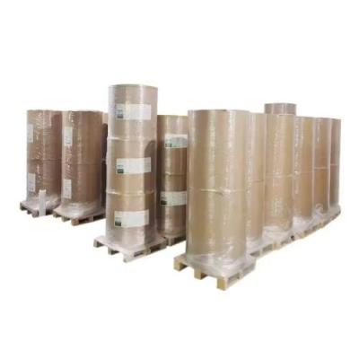 China China Supplier Factory Direct Sale Paper Cup Bottom Roll Oilproof for sale