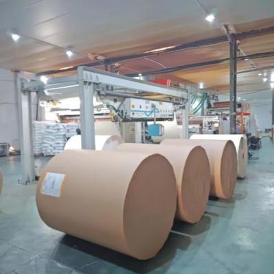 China FSC Certification  PE Coated Paper Roll Heat Insulation Waterproof for sale