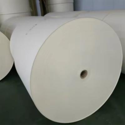 China Food Packaging Eco-friendly PE Coated Paper Roll Customized Printing for sale