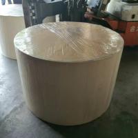 China Various Colors Factory Wholesale PE Coated Paper Roll Compostable for sale
