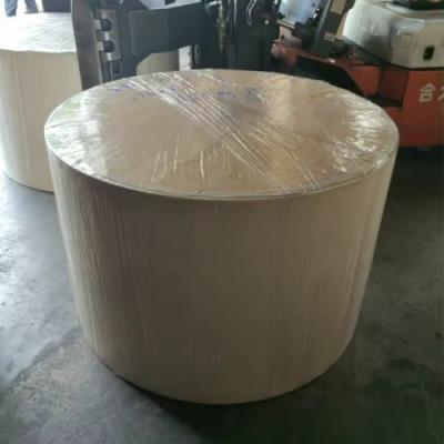 China Various Colors Factory Wholesale PE Coated Paper Roll Compostable for sale