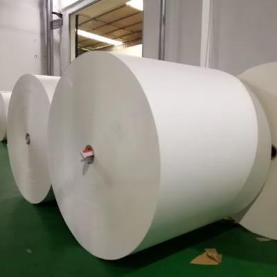 China High Quality Hot Selling PE Coated Paper Roll Paper Protection Needs for sale
